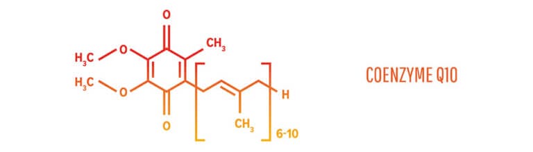 Coenzyme q10 : Bienfaits et dangers